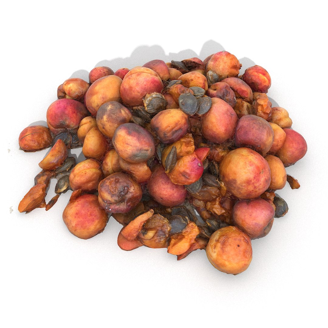 Rotten apricots 3D model - TurboSquid 1165554