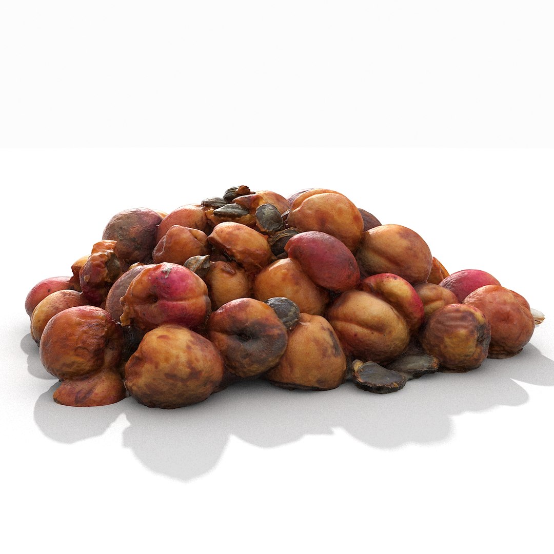 Rotten apricots 3D model - TurboSquid 1165554