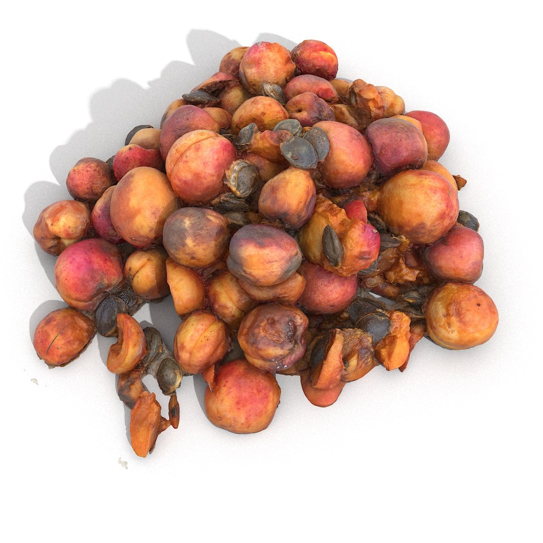 Rotten apricots 3D model - TurboSquid 1165554