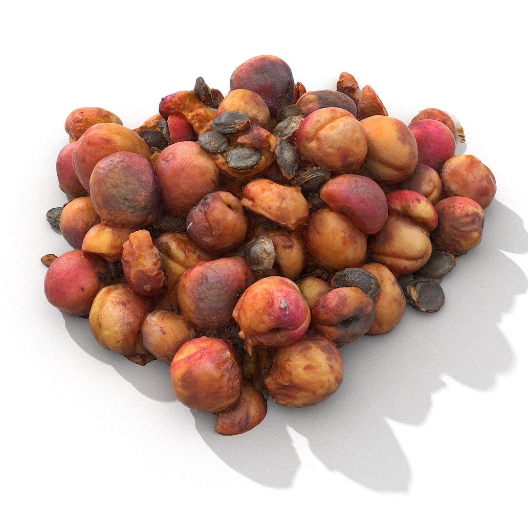 Rotten apricots 3D model - TurboSquid 1165554
