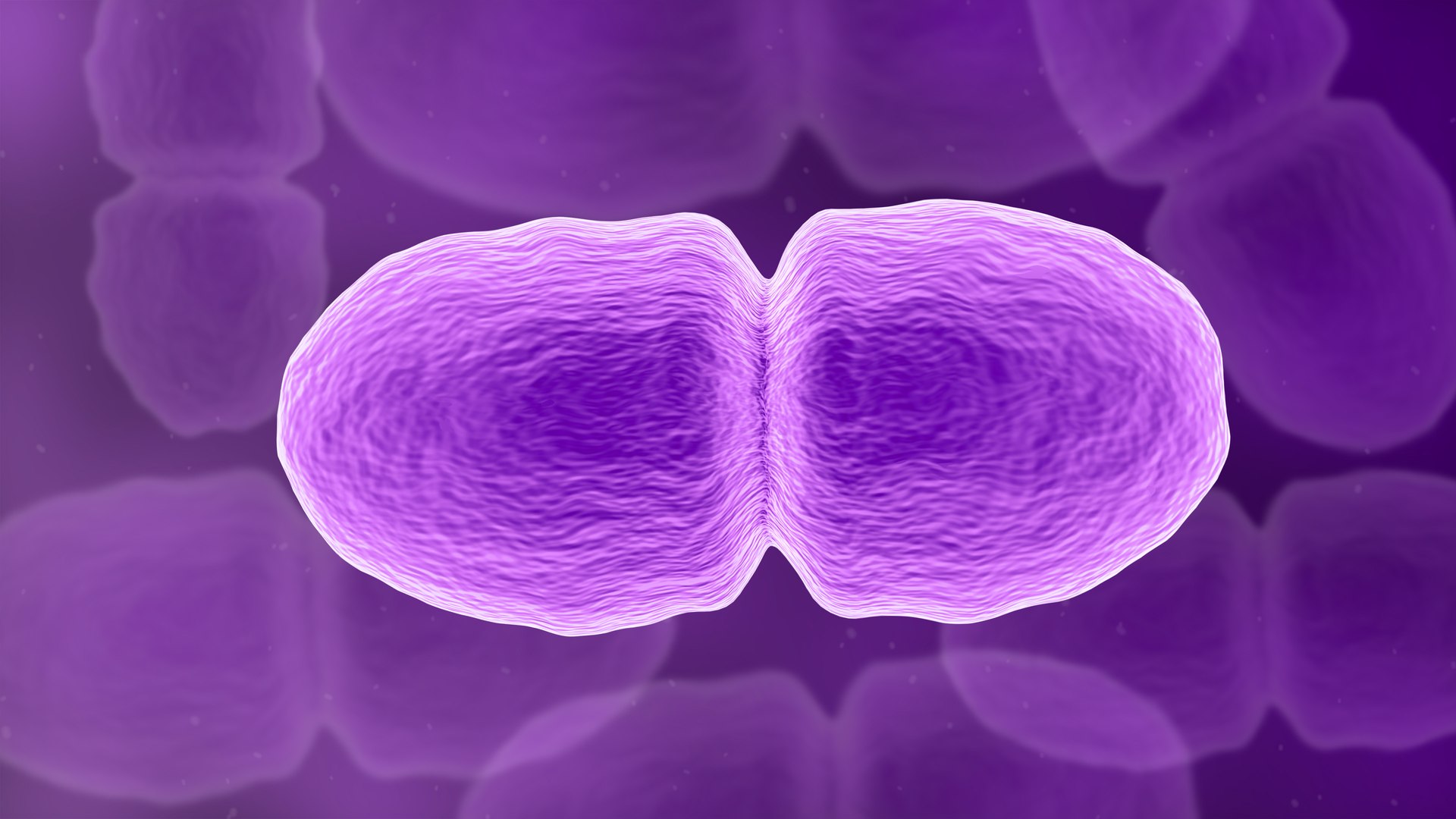 3D Enterococcus - TurboSquid 2213928