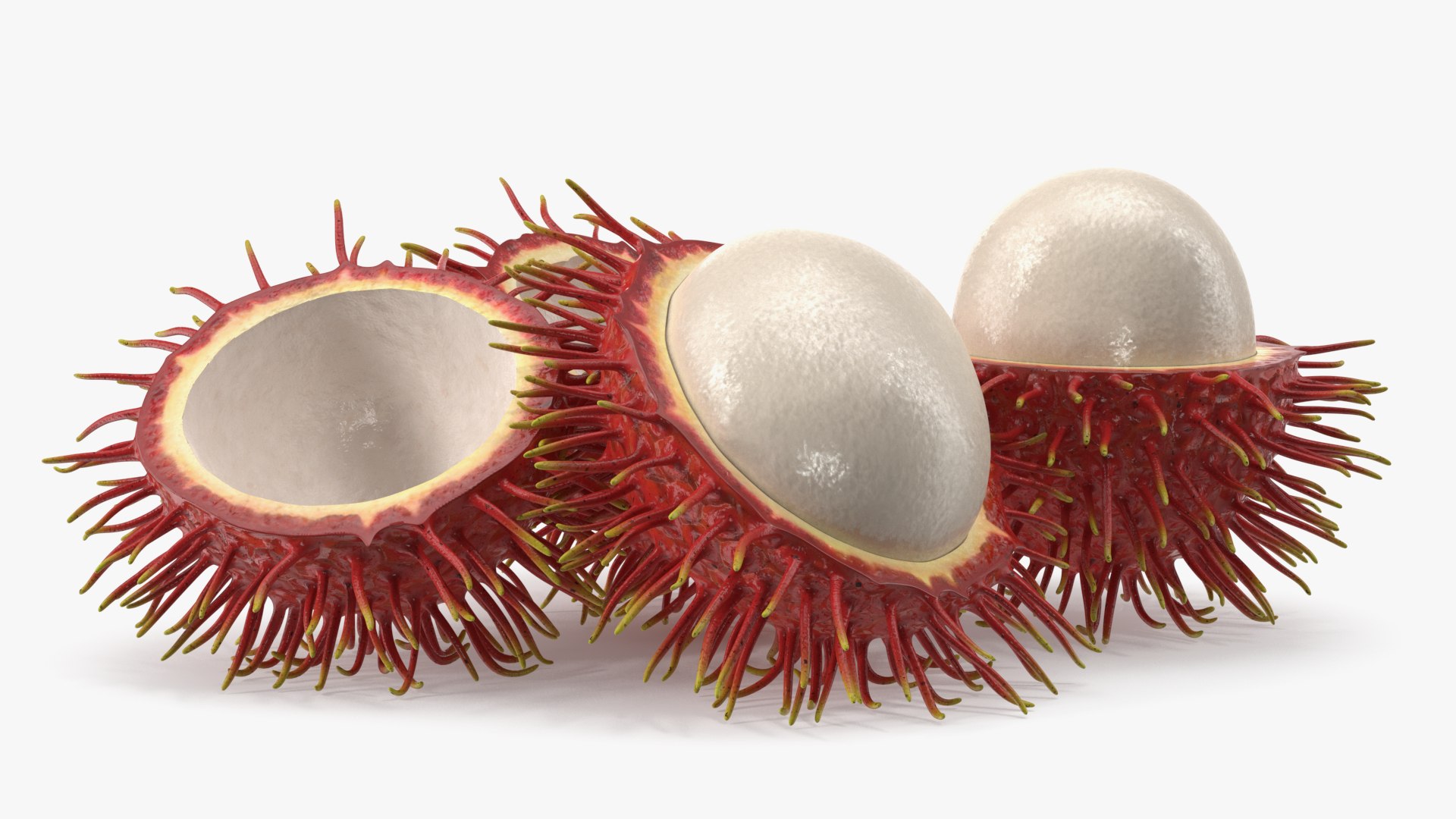 3D Rambutan Fruit Halves Model - TurboSquid 2115225