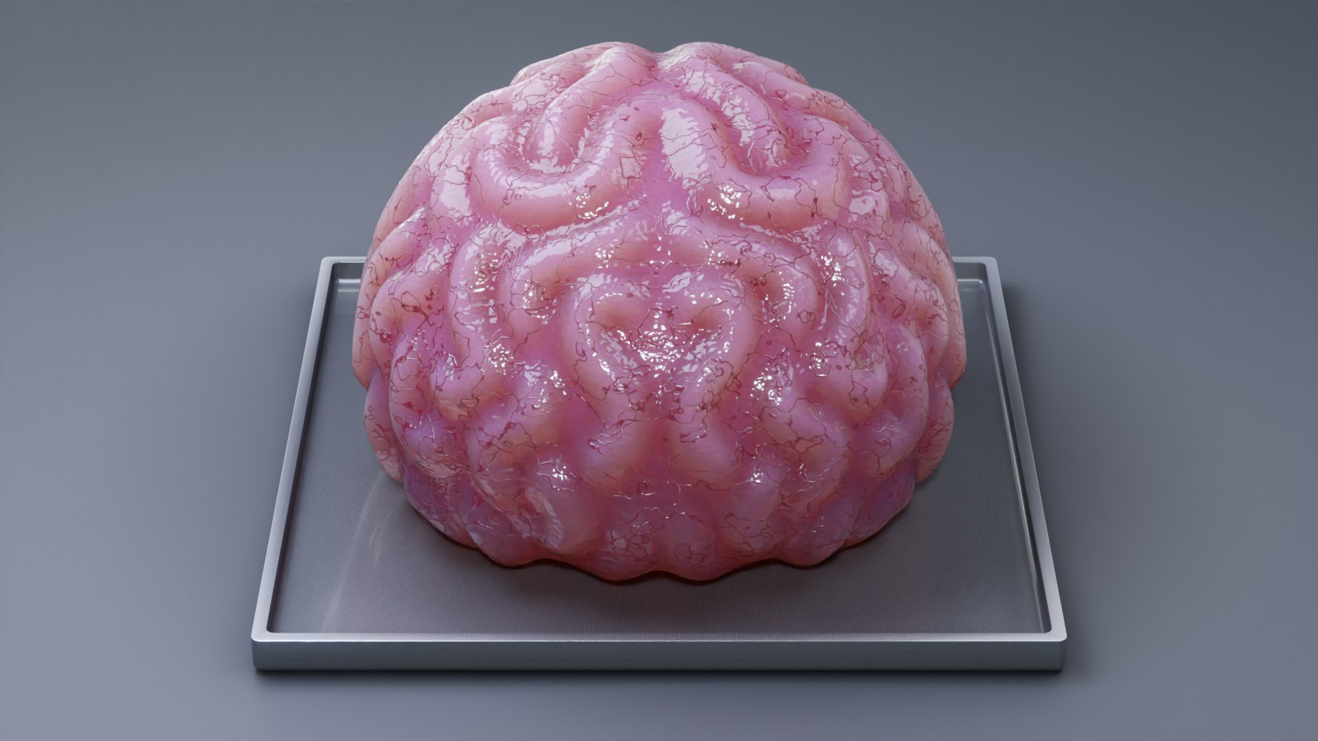 Stylized Human Brain - Project File Blender 3D - TurboSquid 2306008