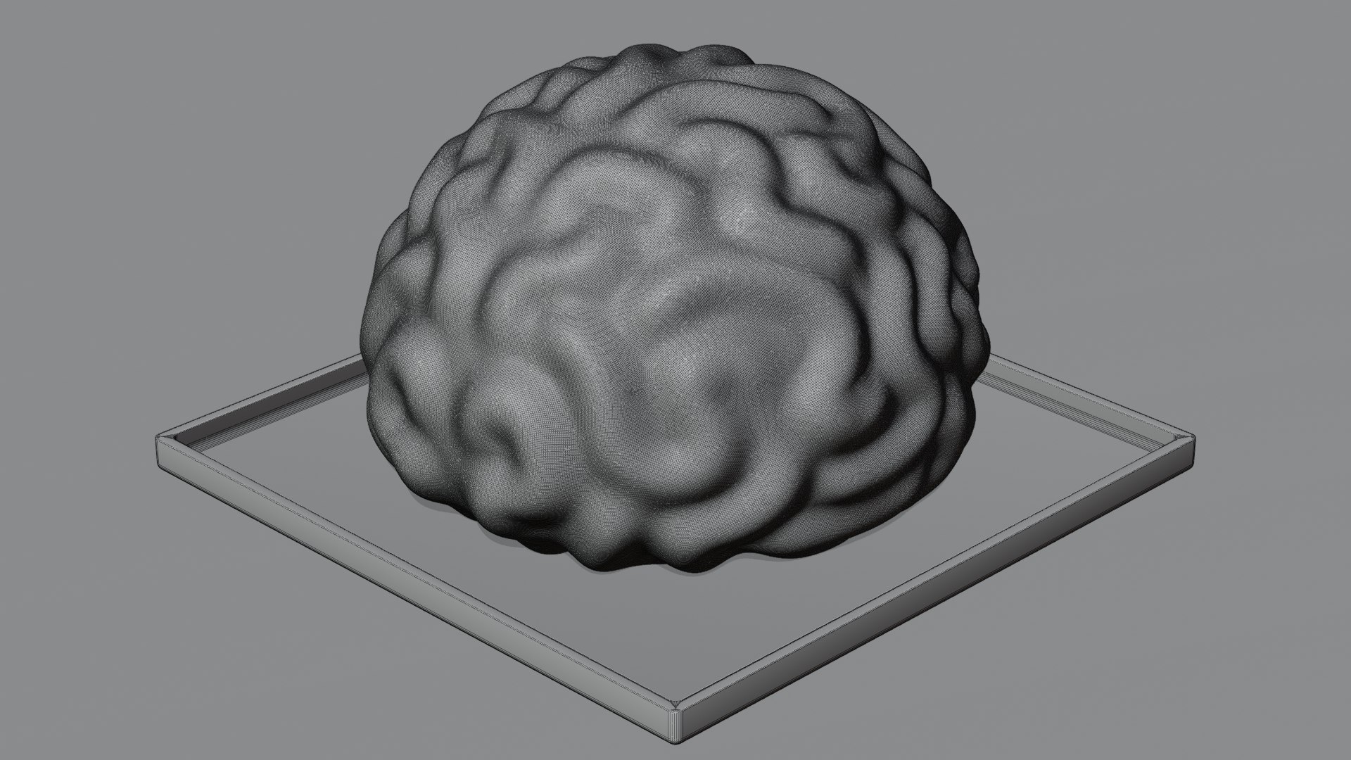 Stylized Human Brain - Project File Blender 3D - TurboSquid 2306008