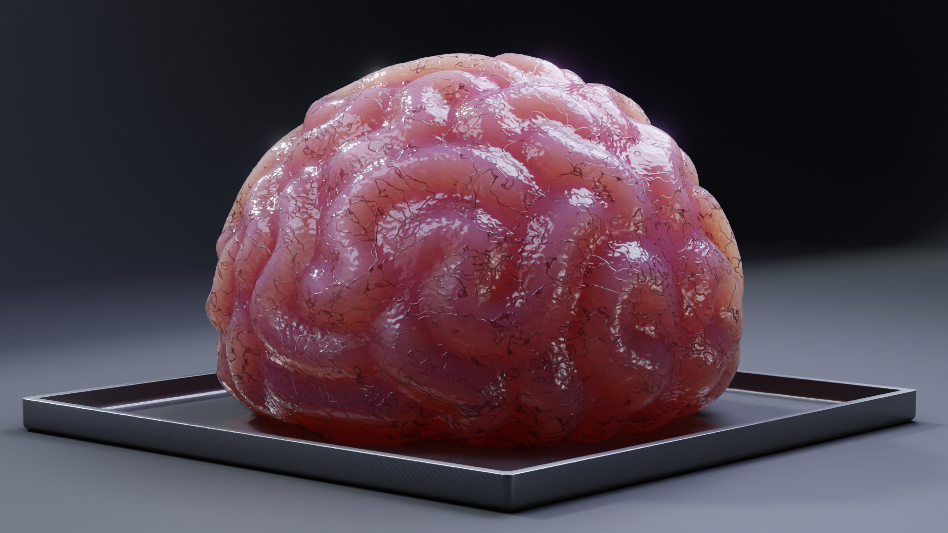 Stylized Human Brain - Project File Blender 3D - TurboSquid 2306008