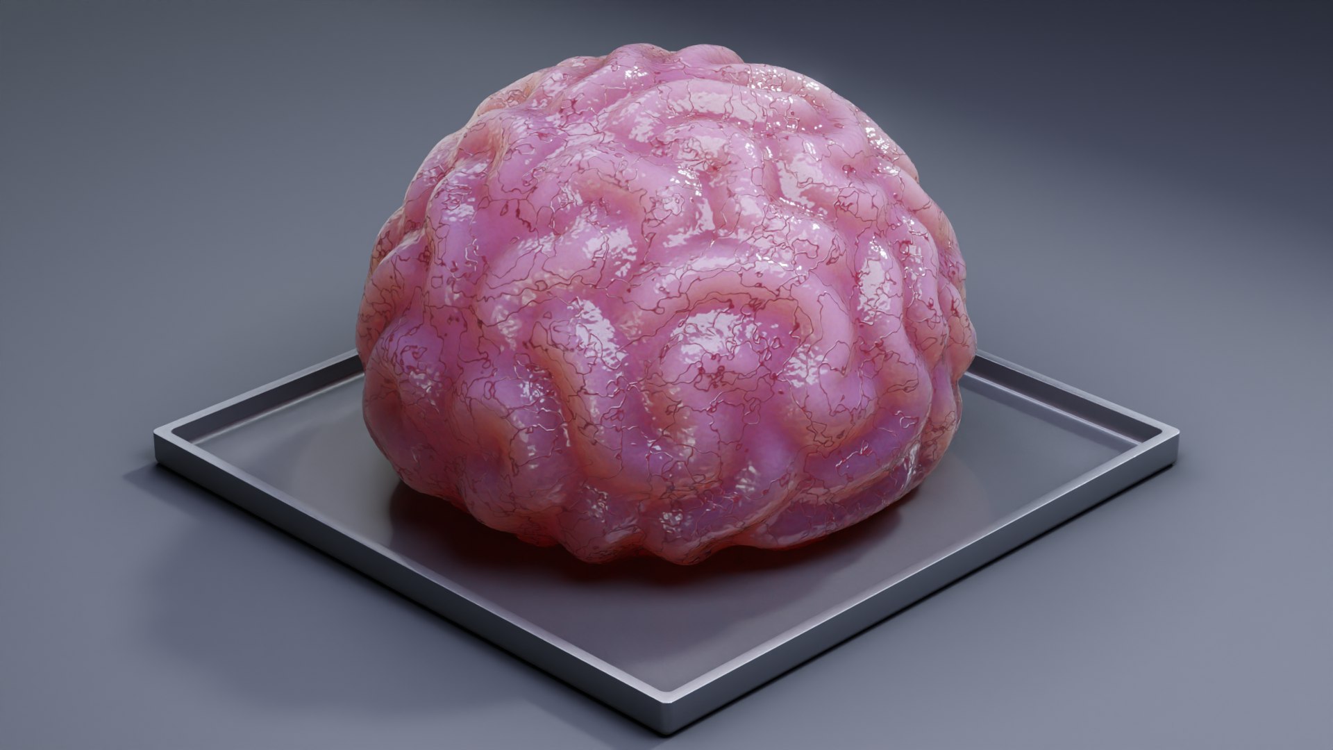 Stylized Human Brain - Project File Blender 3D - TurboSquid 2306008