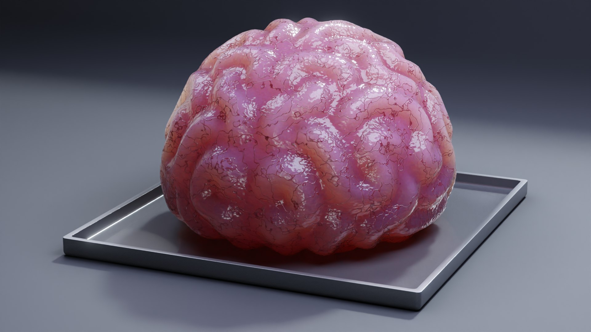 Stylized Human Brain - Project File Blender 3D - TurboSquid 2306008