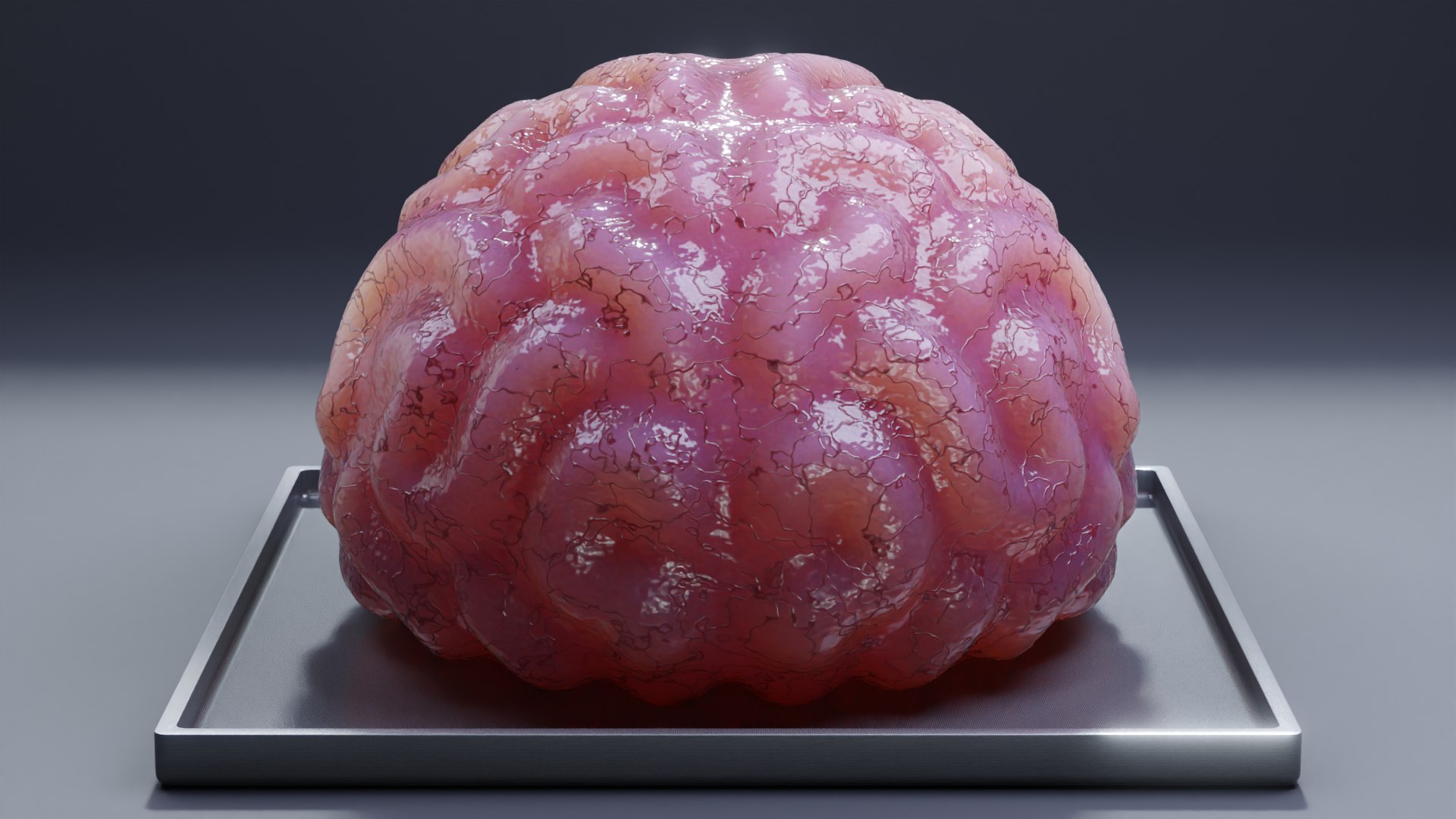 Stylized Human Brain - Project File Blender 3D - TurboSquid 2306008