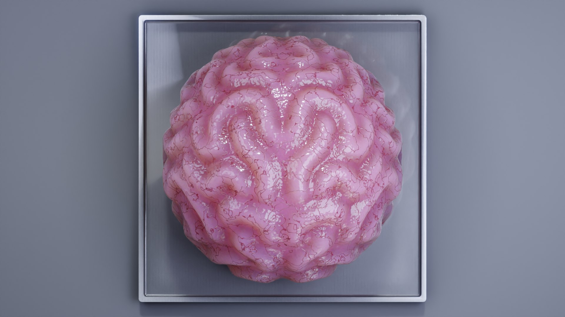 Stylized Human Brain - Project File Blender 3D - TurboSquid 2306008