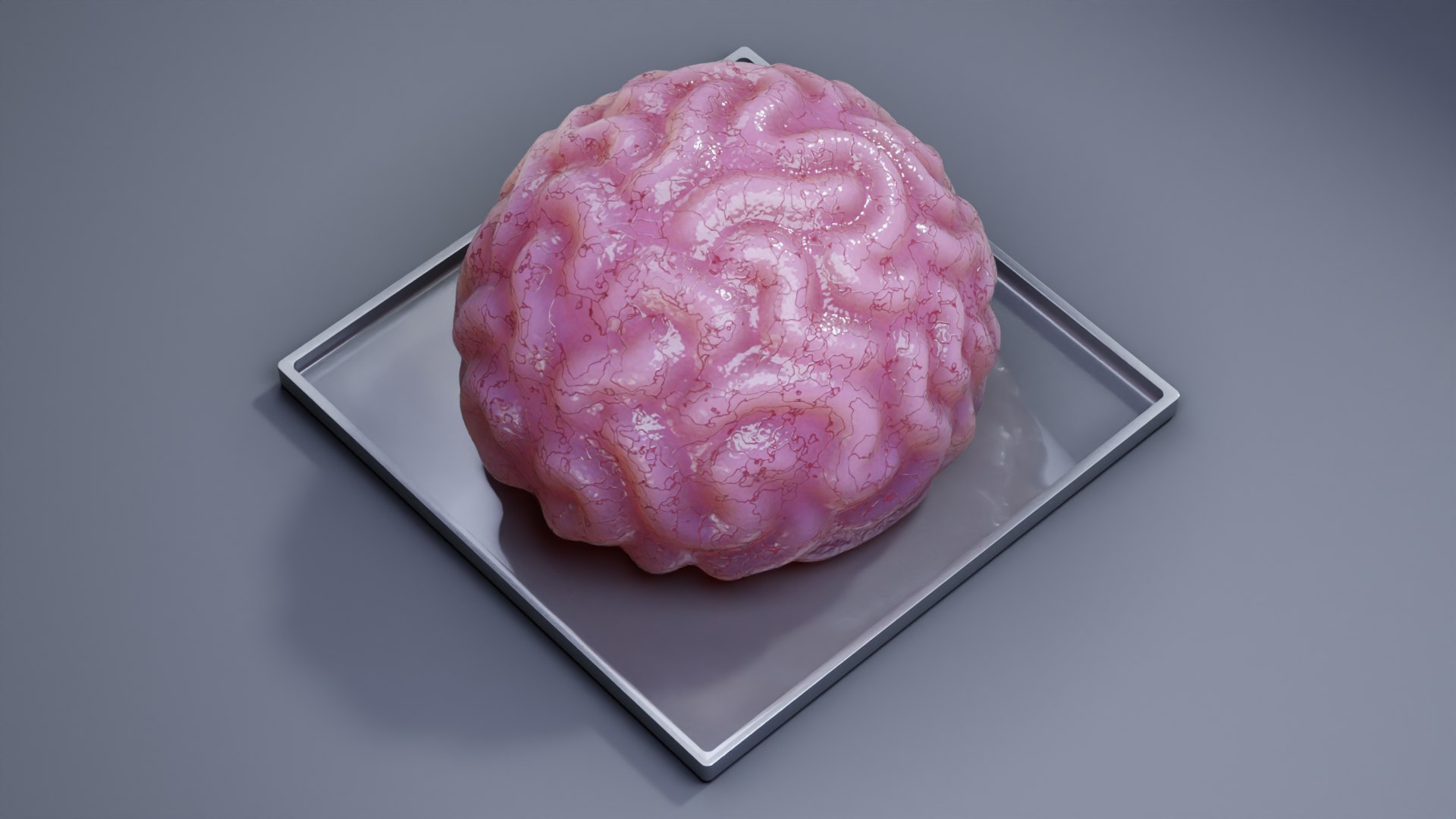 Stylized Human Brain - Project File Blender 3D - TurboSquid 2306008