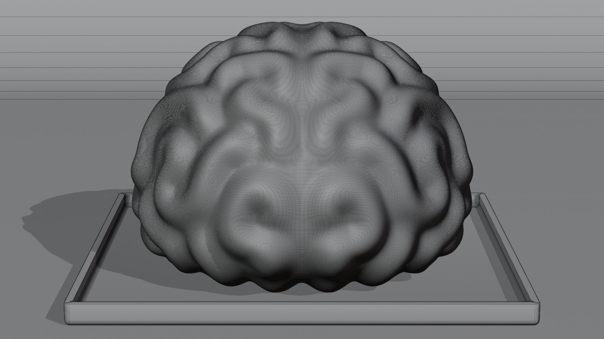 Stylized Human Brain - Project File Blender 3D - TurboSquid 2306008