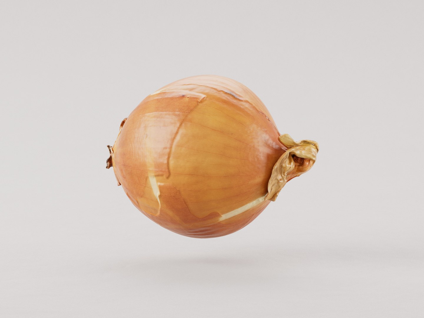 3D Yellow Onion 3d Model - TurboSquid 2169468