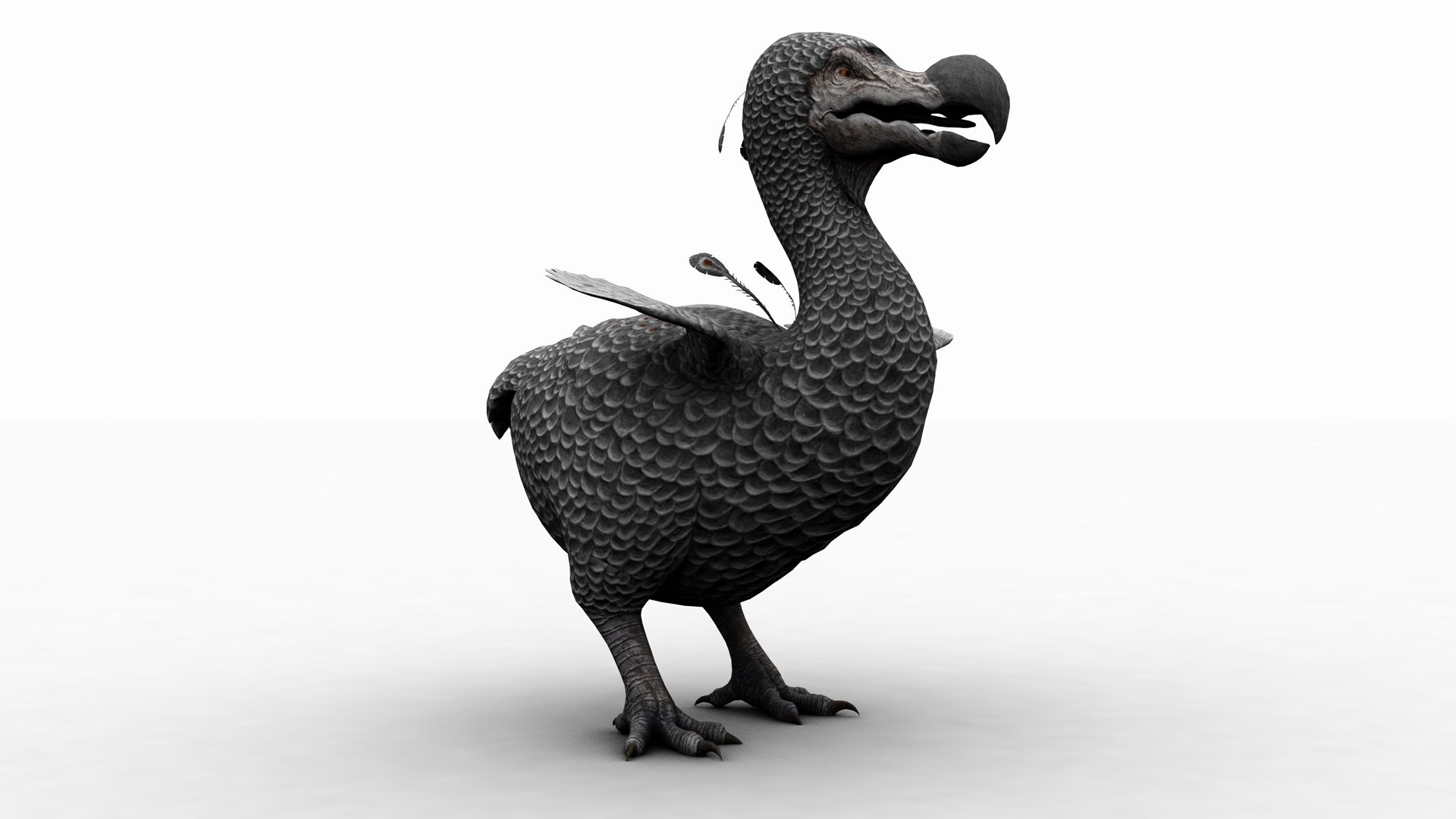 3D Dodo 3D model - TurboSquid 1749862