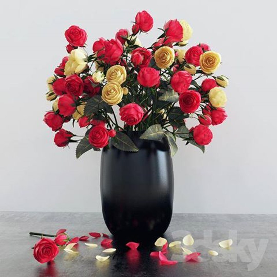 vase roses max