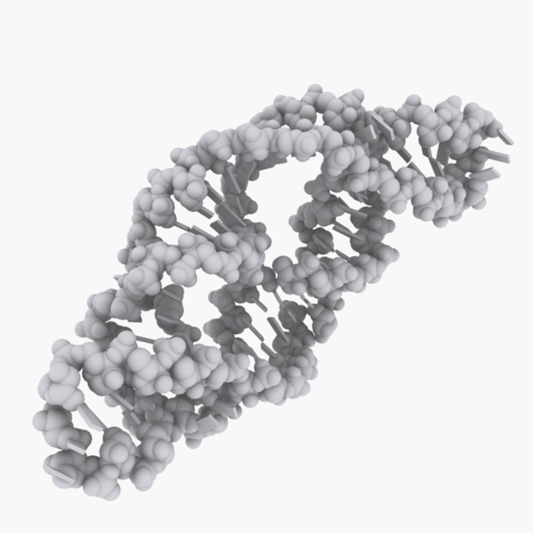 Hammerhead Ribozyme 3d Max