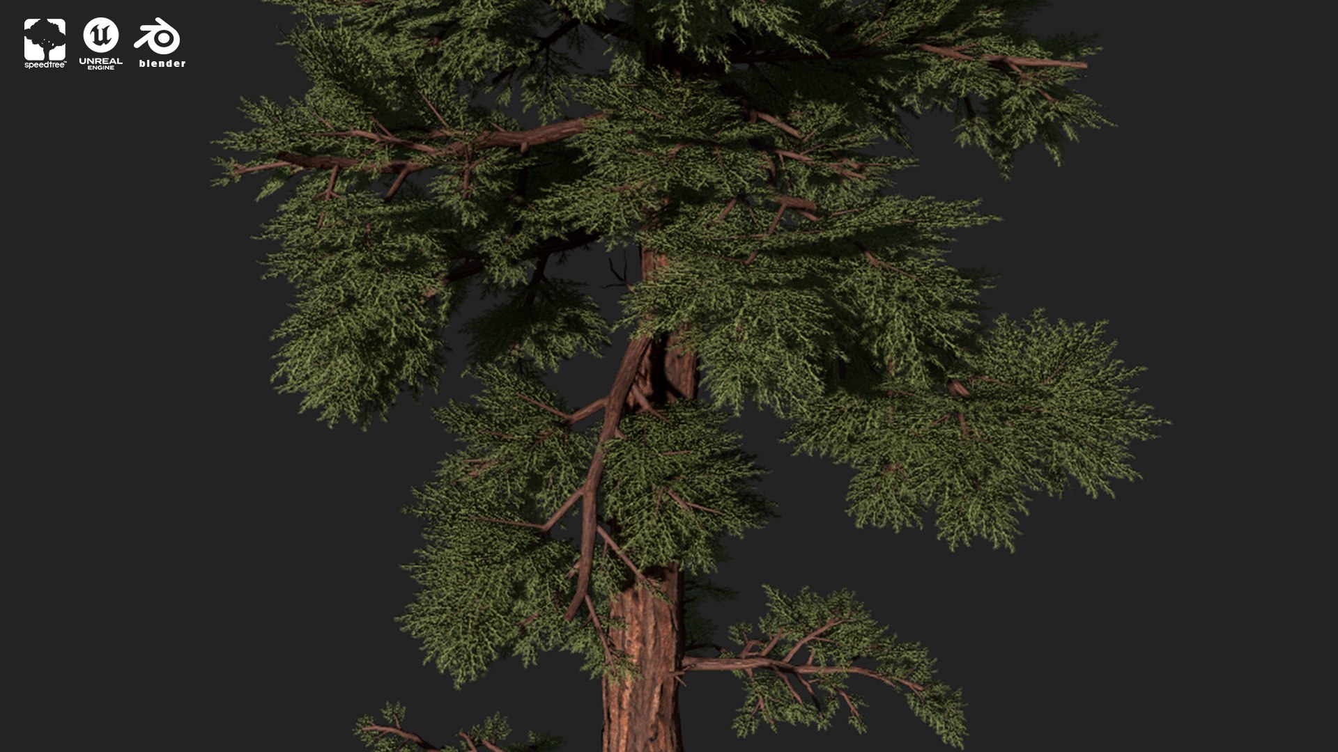 3D RED WOOD TREE PACK Model - TurboSquid 2298113