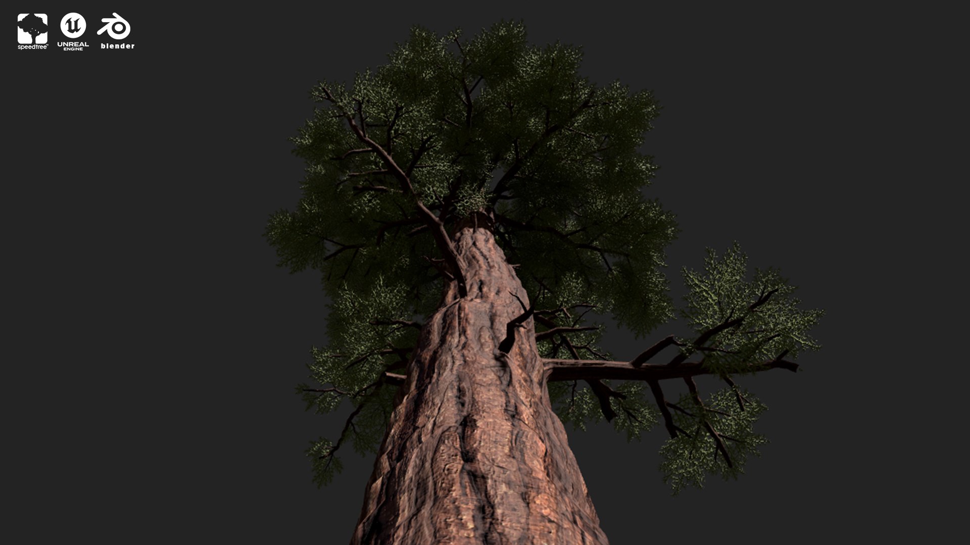 3D RED WOOD TREE PACK Model - TurboSquid 2298113
