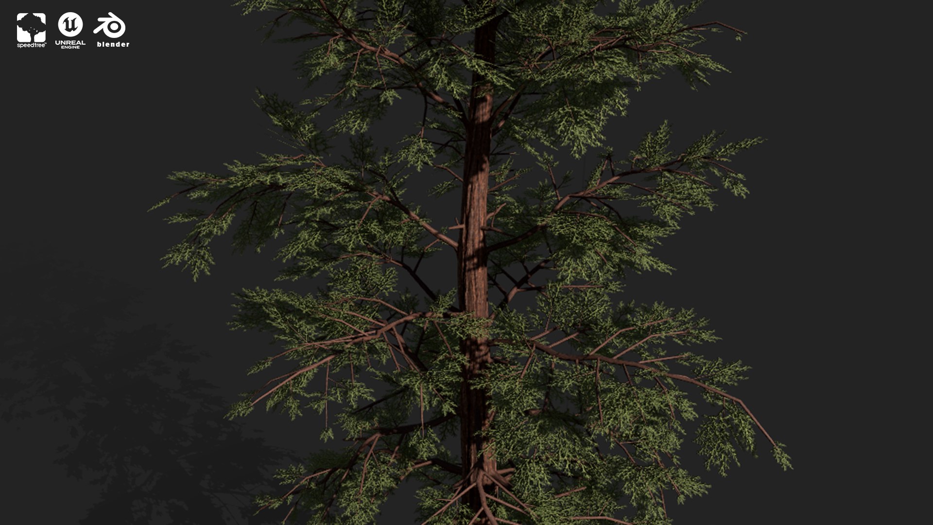 3D RED WOOD TREE PACK Model - TurboSquid 2298113