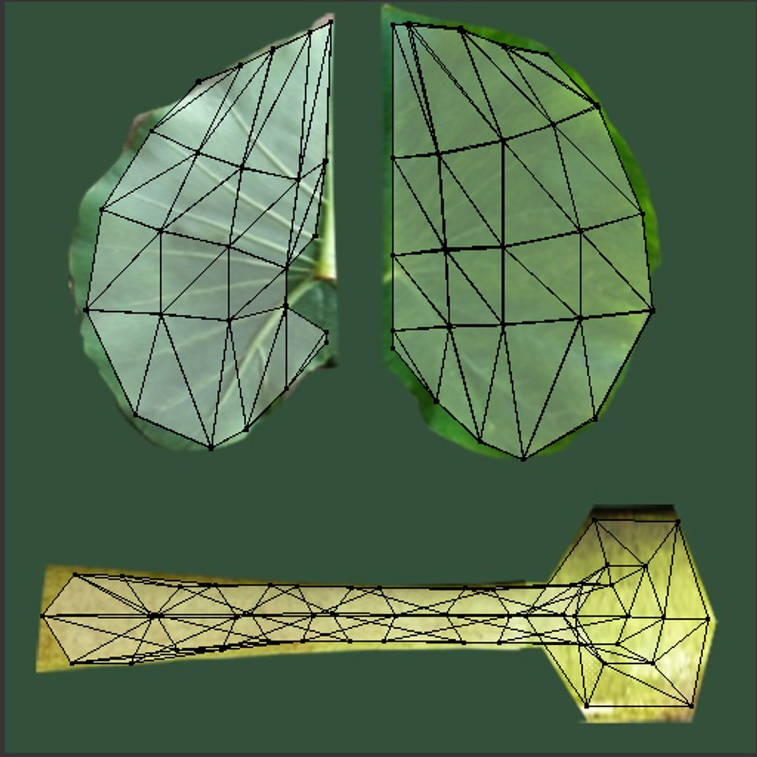 3D Taro Gabi Model - TurboSquid 1253873