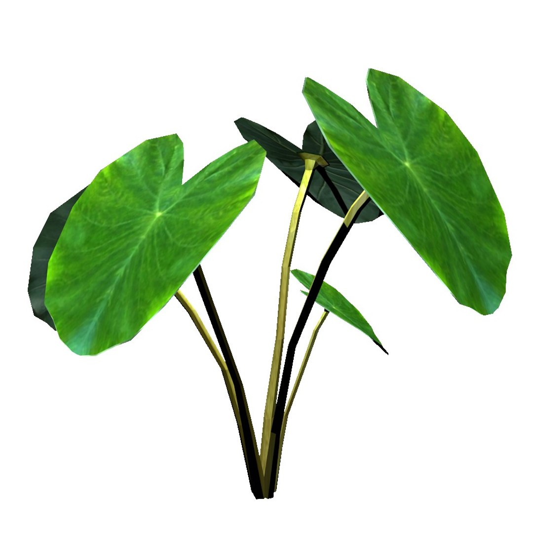 3D Taro Gabi Model - TurboSquid 1253873