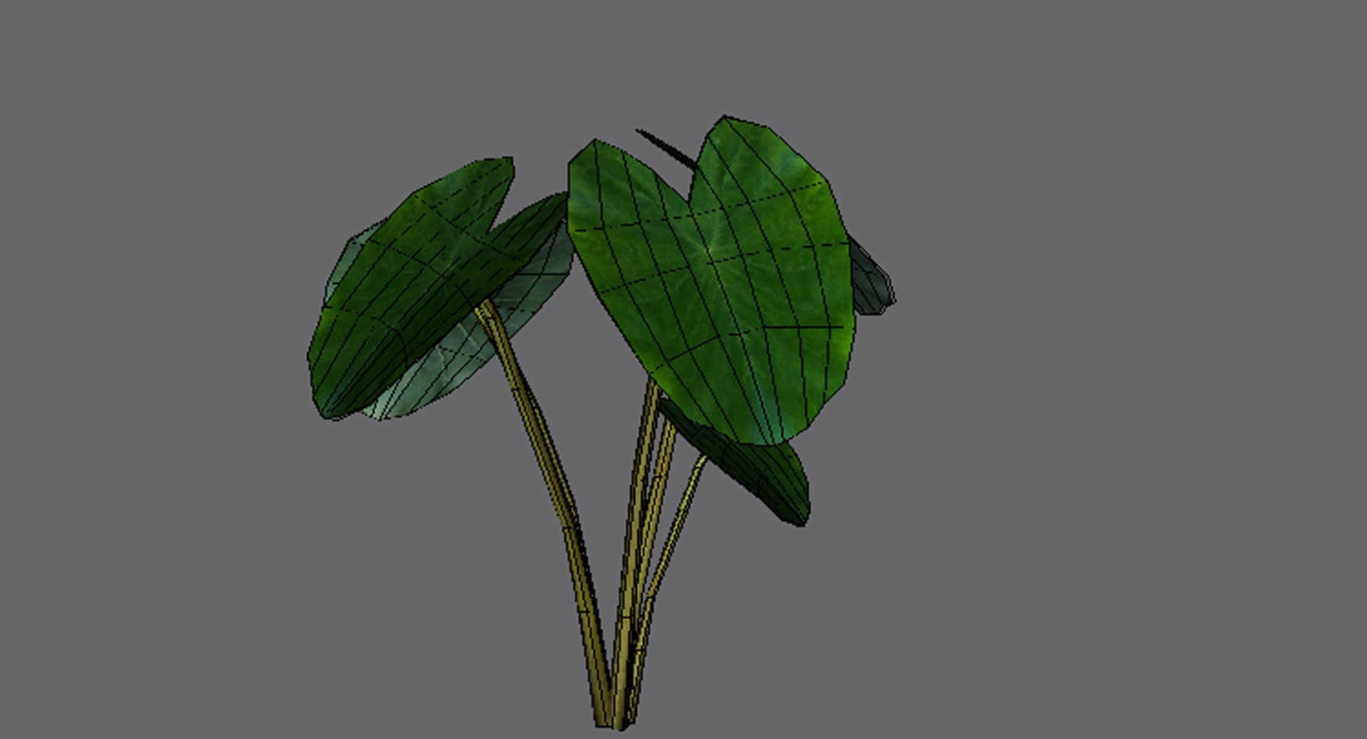 3D Taro Gabi Model - TurboSquid 1253873