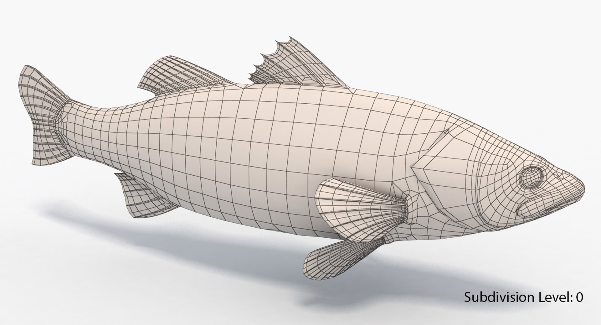 3d model sea bass fish animation