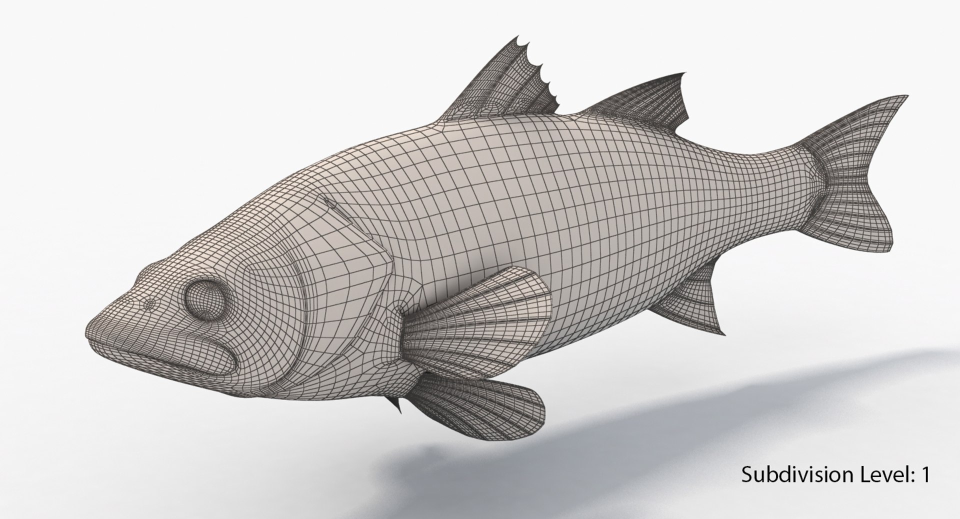3d model sea bass fish animation