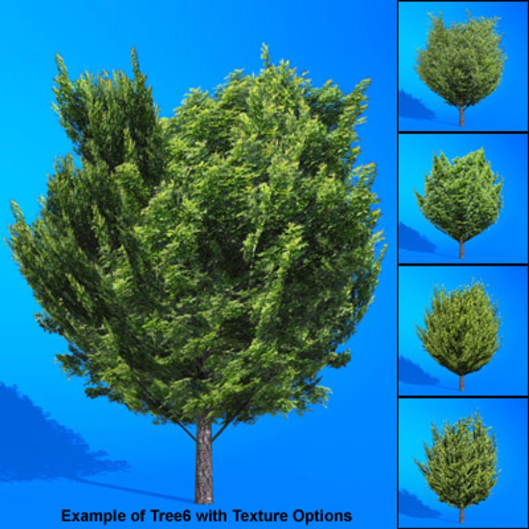 3ds Max Trees 1-6