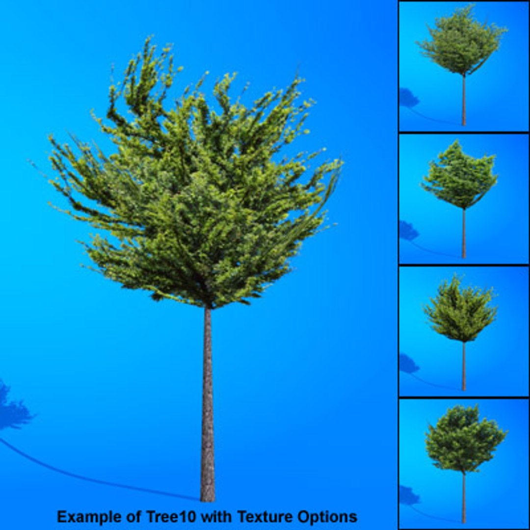 3ds Max Trees 1-6