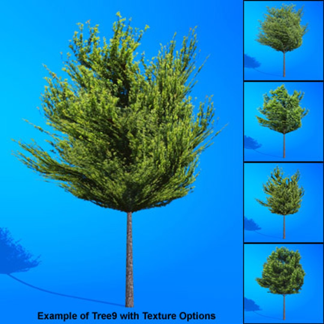3ds Max Trees 1-6