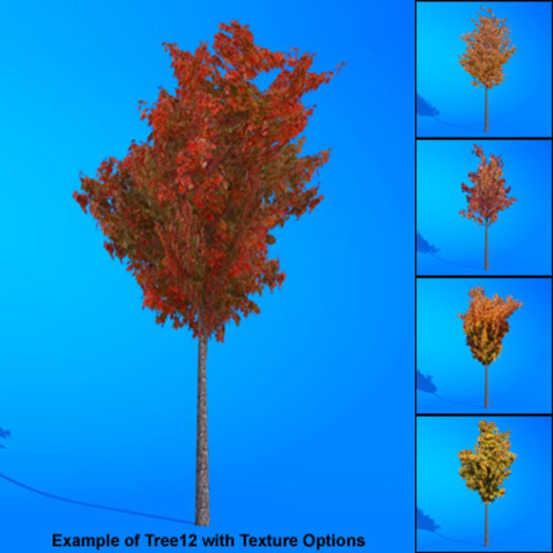 3ds Max Trees 1-6