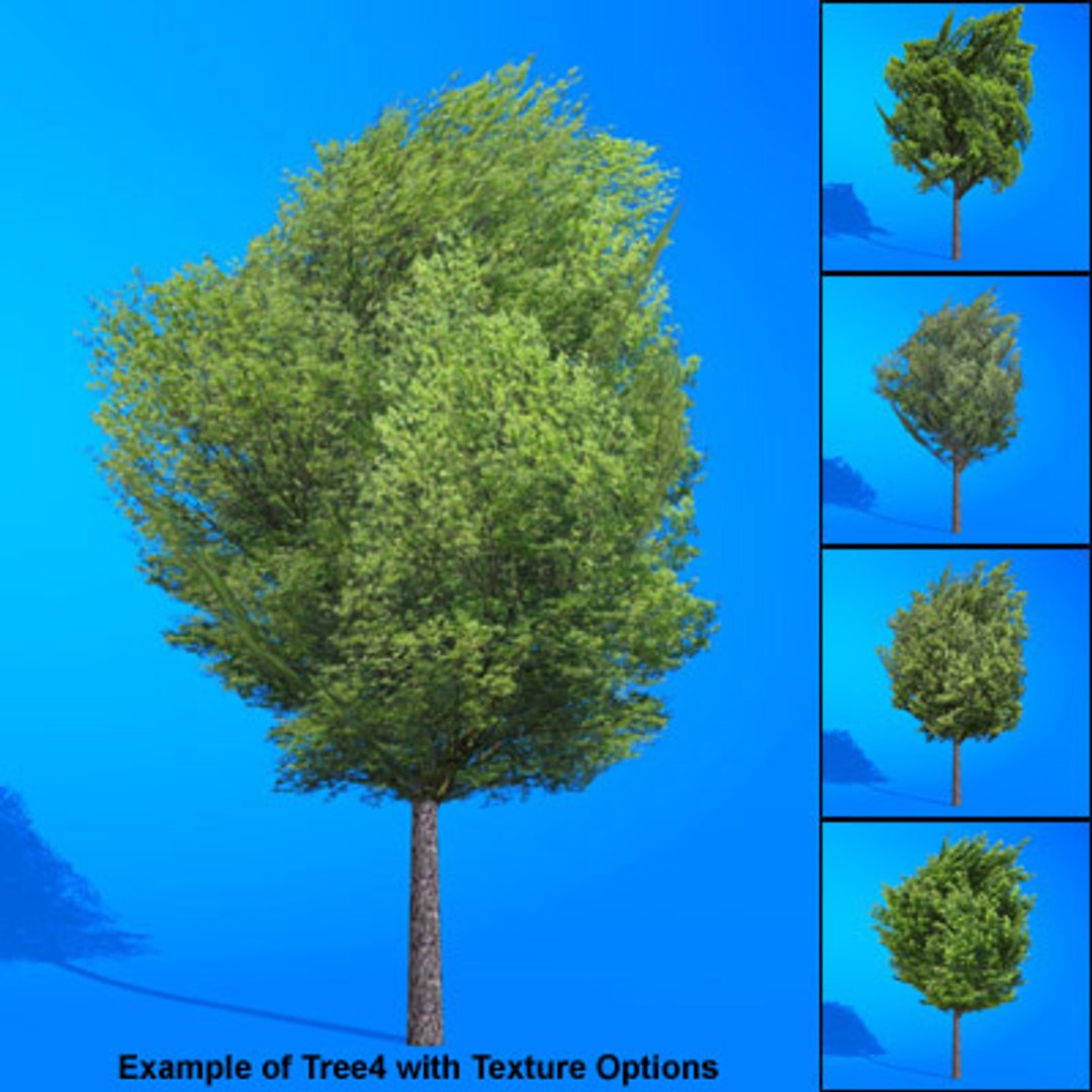 3ds Max Trees 1-6