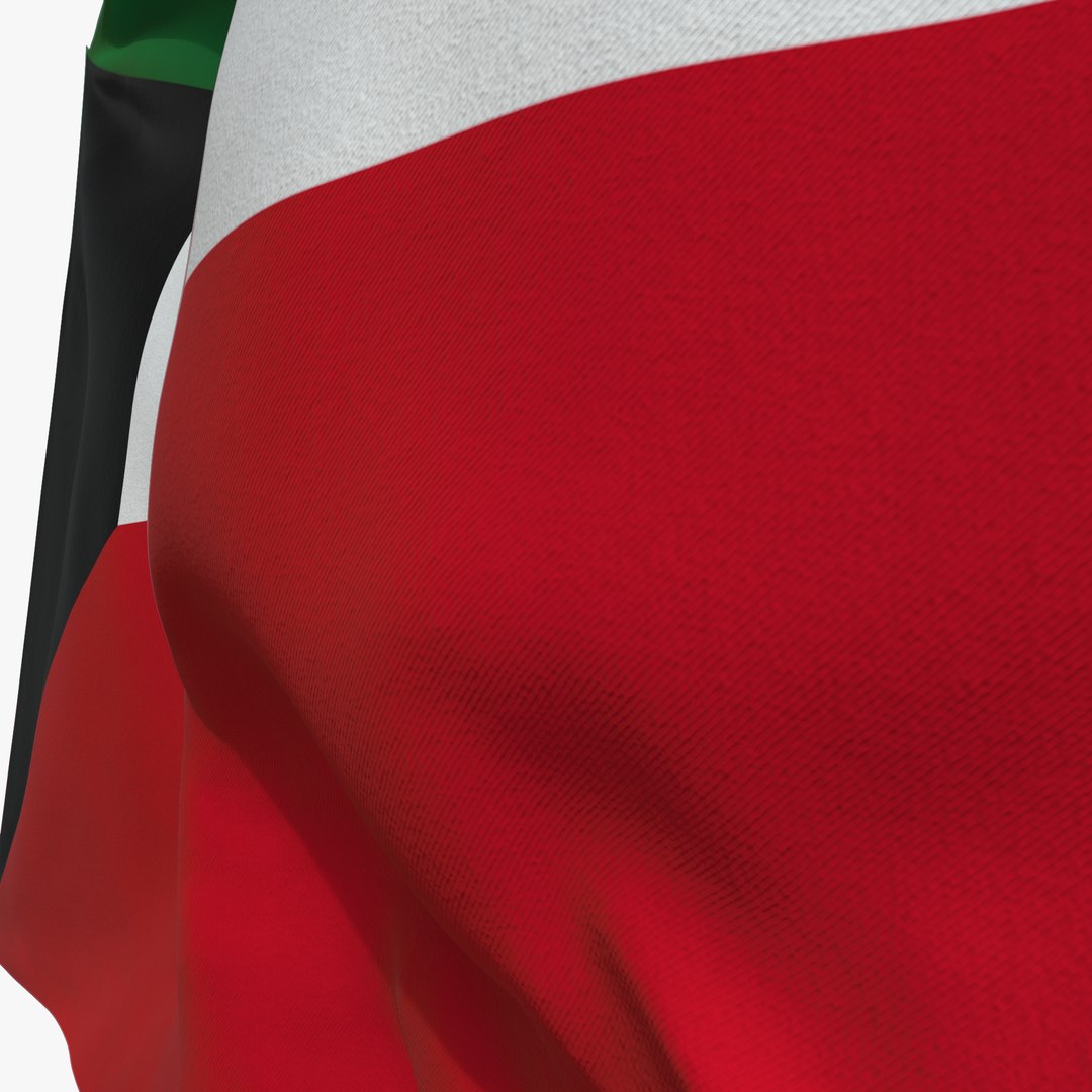 3D Realistic Animated Flag - Microtexture Rigged - Put Your Own Texture ...