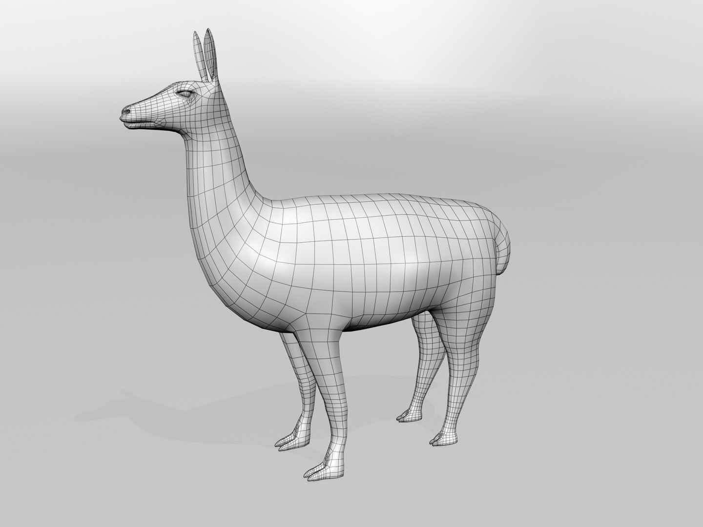3d Model Llama Lama