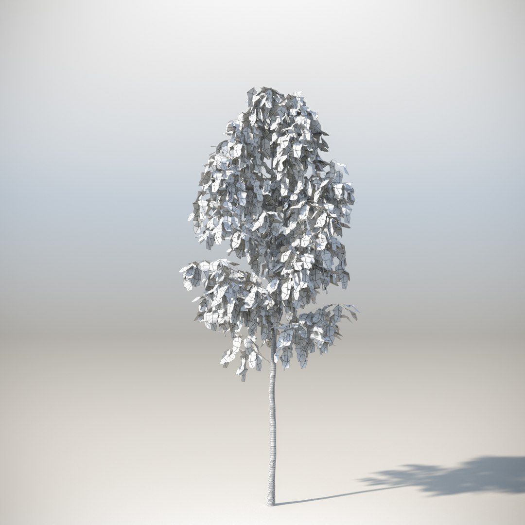 Archtrees Trees 3d Model