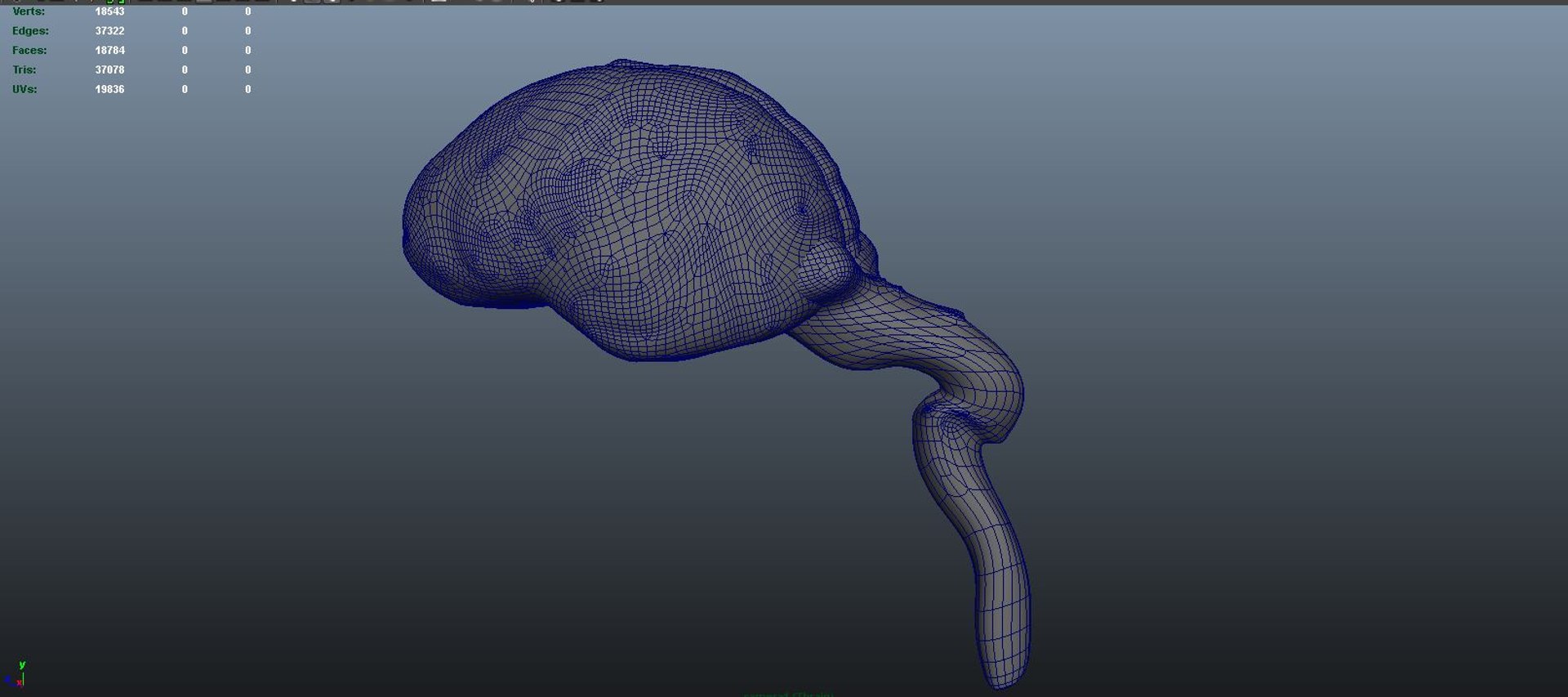 Stages Of Brain Development Before Birth Model - TurboSquid 1826826