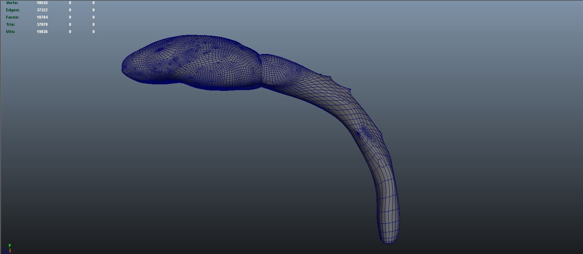 Stages Of Brain Development Before Birth Model - TurboSquid 1826826