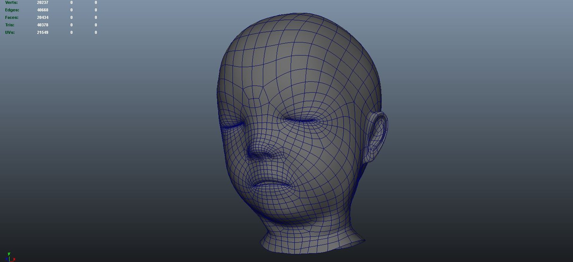 Stages Of Brain Development Before Birth Model - TurboSquid 1826826