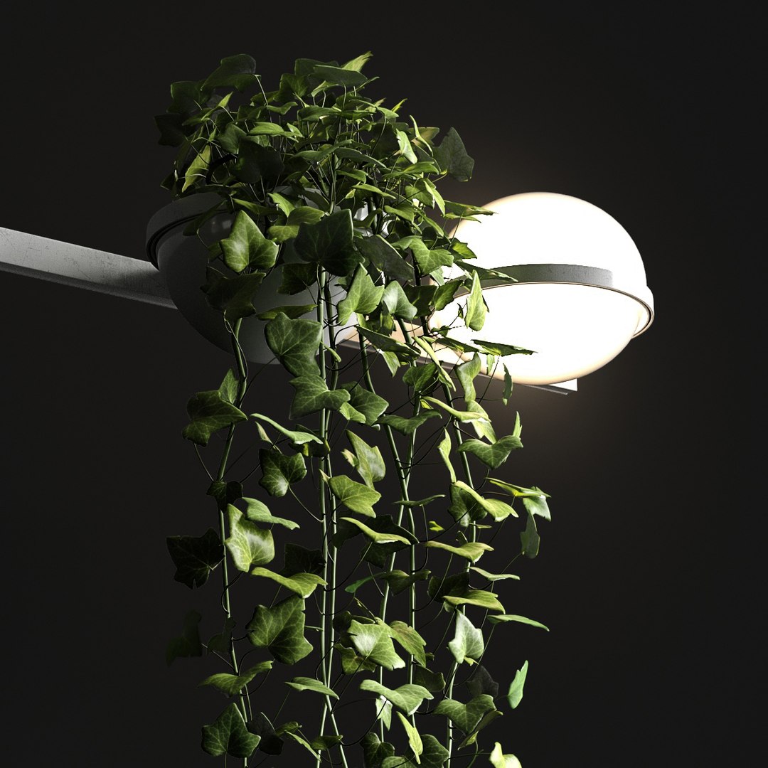 Palma 3702 Wall 3D Model - TurboSquid 1506599