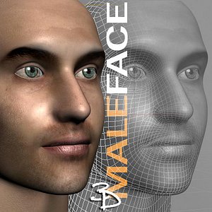 Free 3D Man Face Models - Available For Download On TurboSquid
