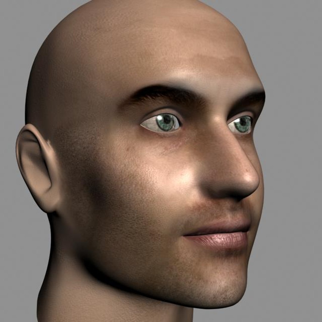 Male Head 3d Model