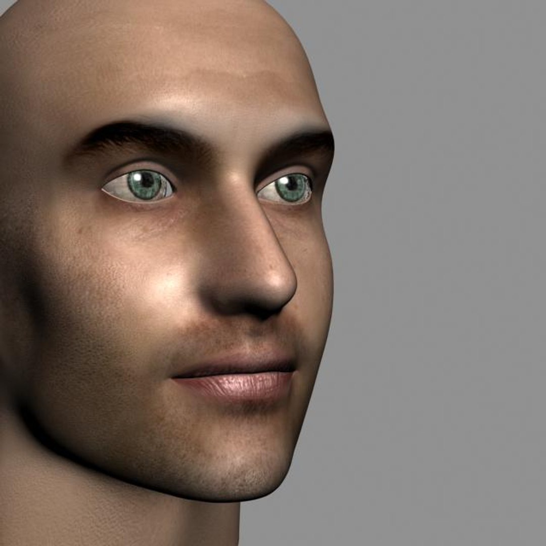 Male Head 3d Model