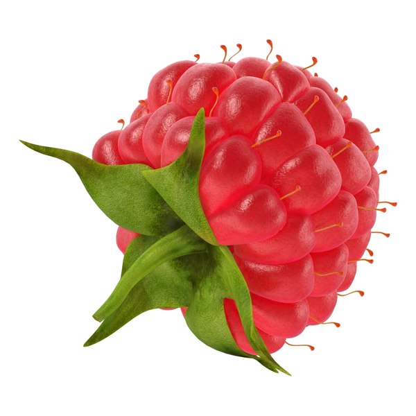 ripe raspberry modeled 3d model