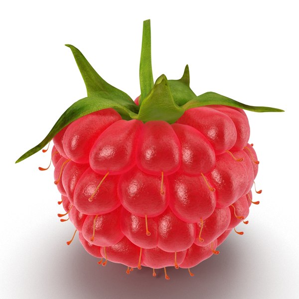 ripe raspberry modeled 3d model