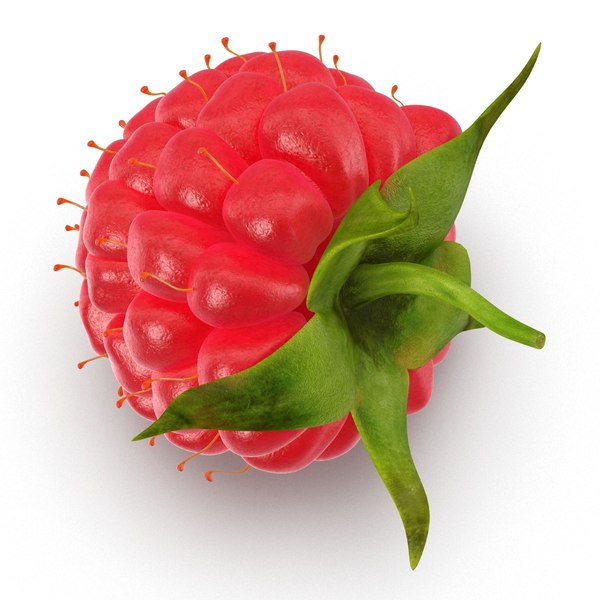 ripe raspberry modeled 3d model