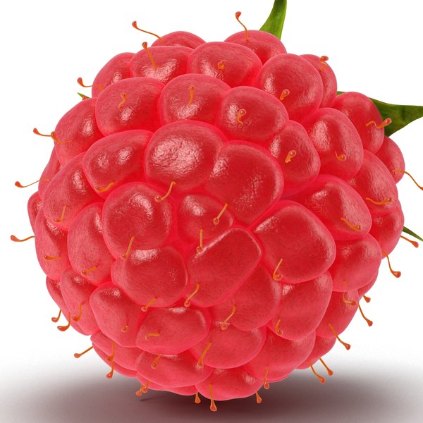 ripe raspberry modeled 3d model