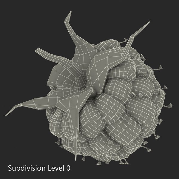 ripe raspberry modeled 3d model