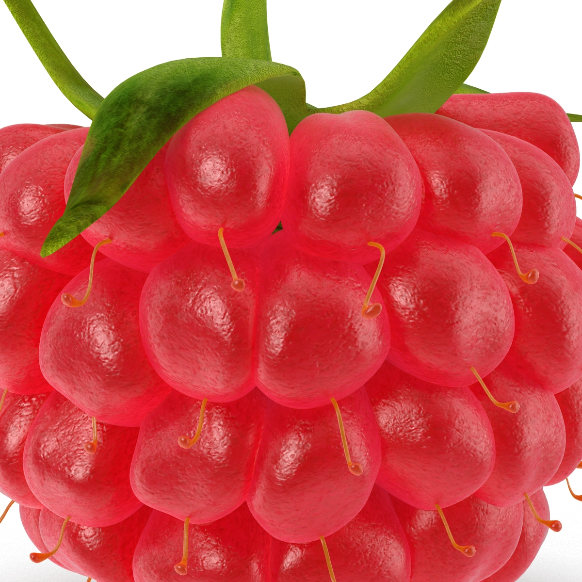 ripe raspberry modeled 3d model
