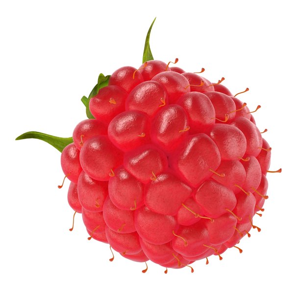 ripe raspberry modeled 3d model