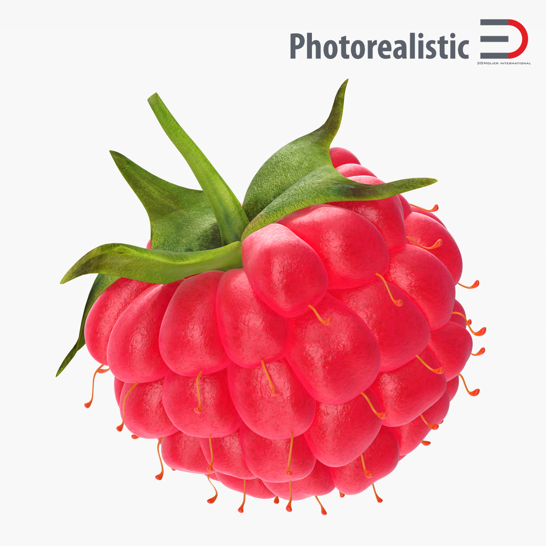 ripe raspberry modeled 3d model